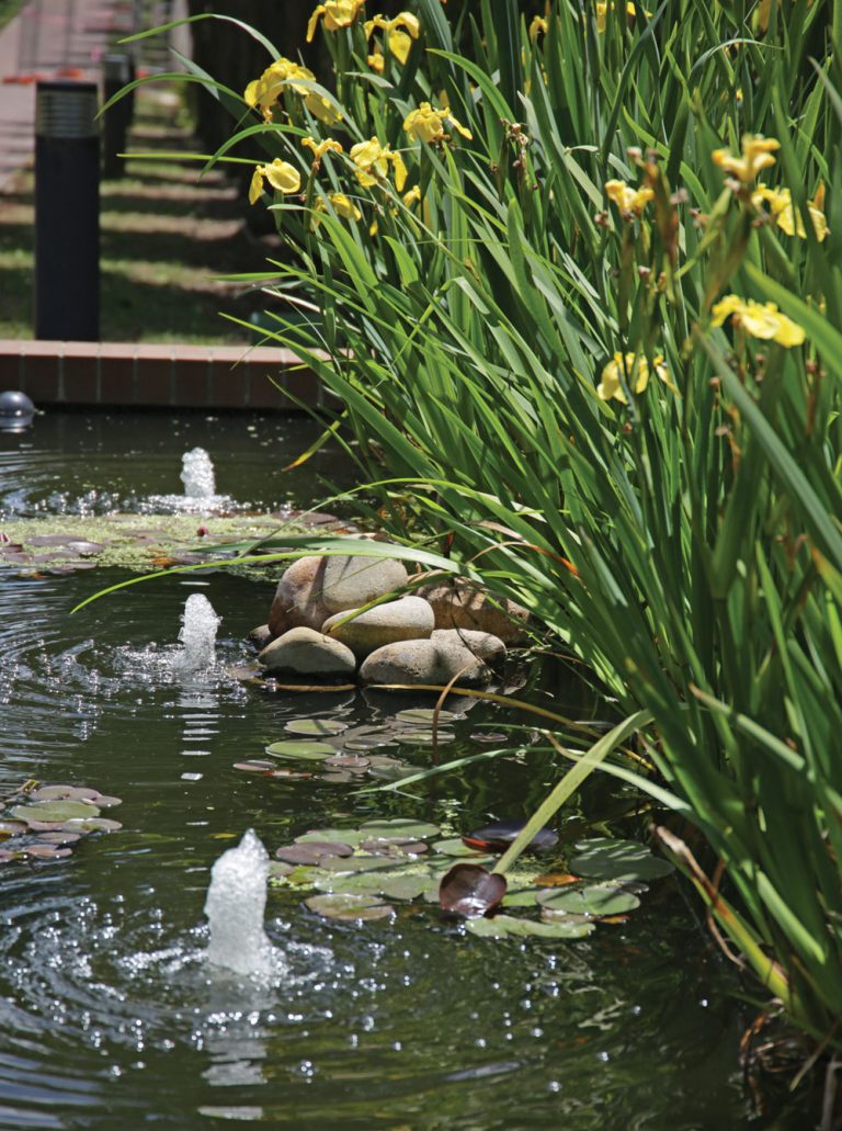 The Team | Pepperfield Lifestyle Resort, Bowral | Pepperfield Lifestyle ...